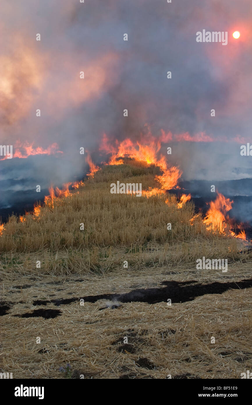 Harvest fire hi-res stock photography and images - Alamy