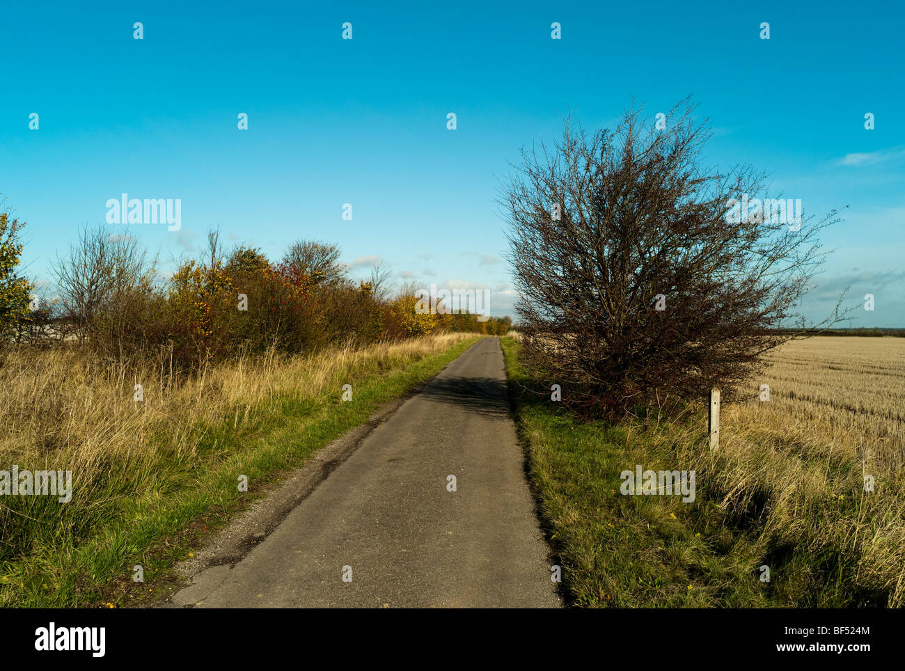 Ermine street roman road hi-res stock photography and images - Alamy