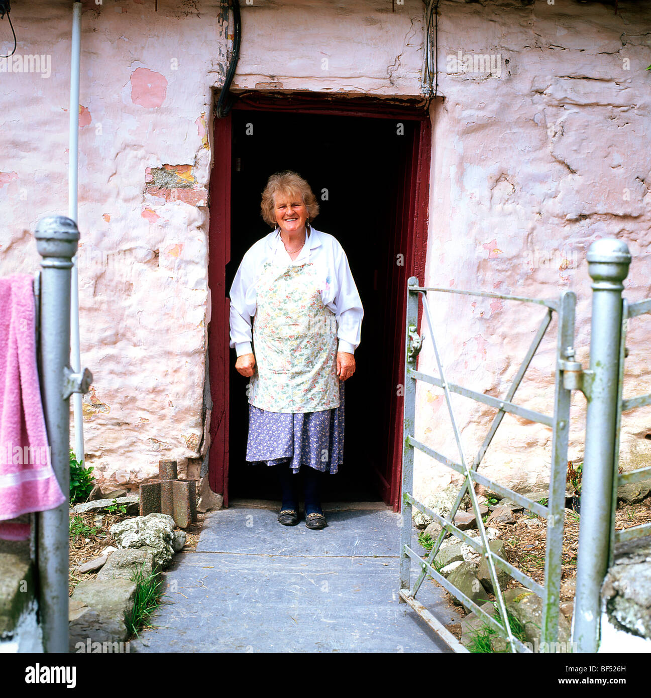 1980s house uk hi-res stock photography and images - Alamy