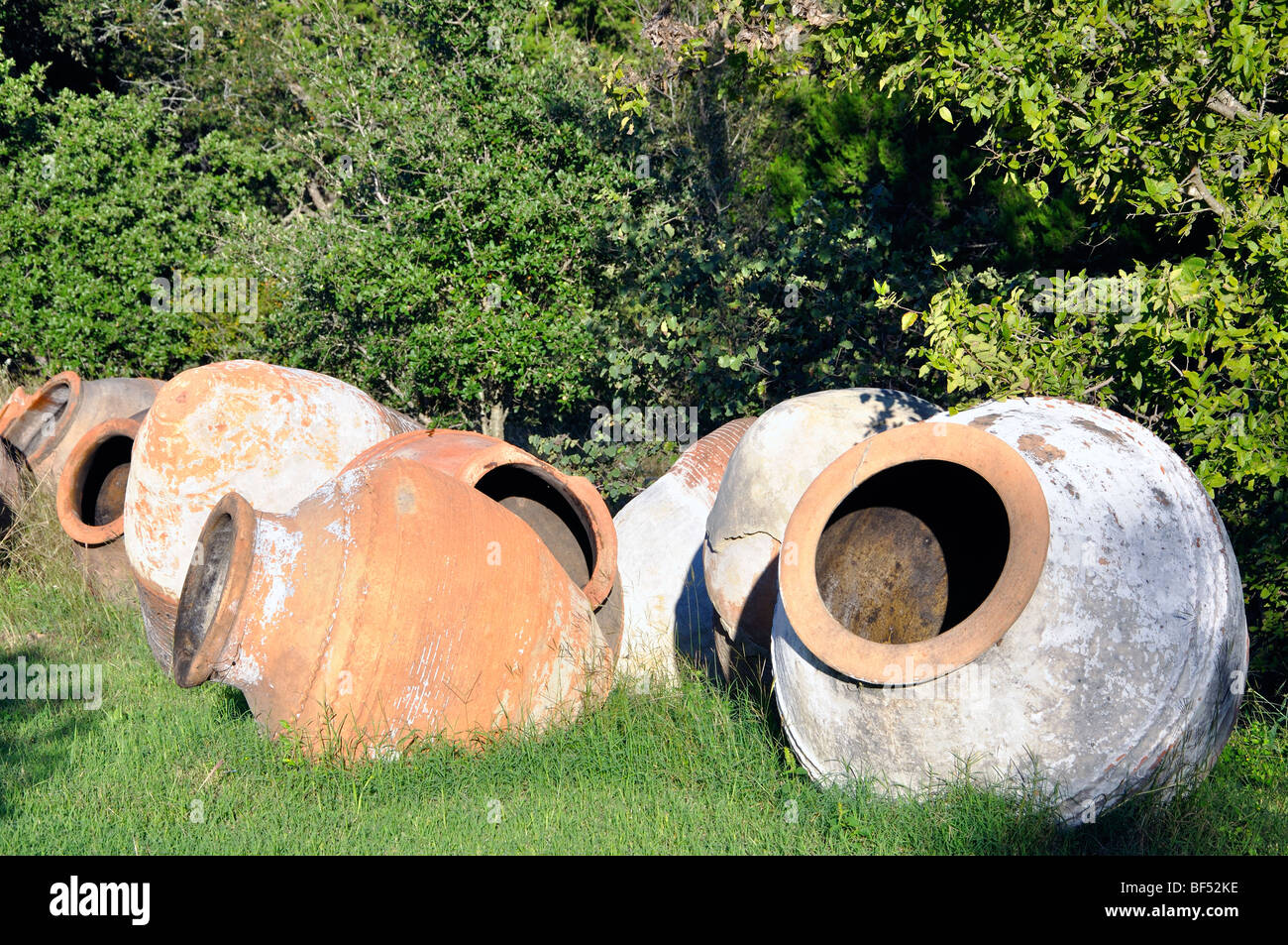 Giant plant pots hi-res stock photography and images - Alamy