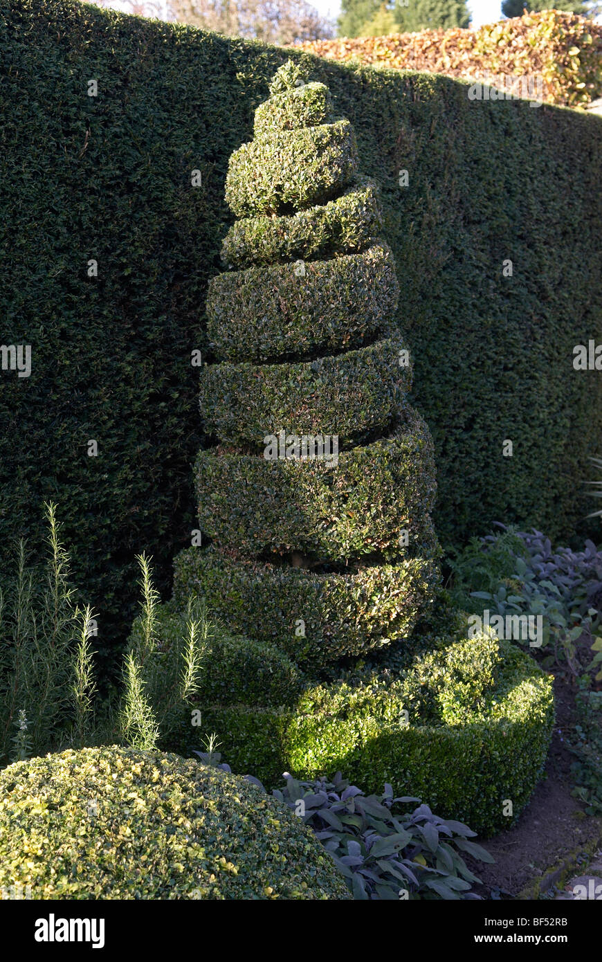 Box hedge topiary hi-res stock photography and images - Alamy