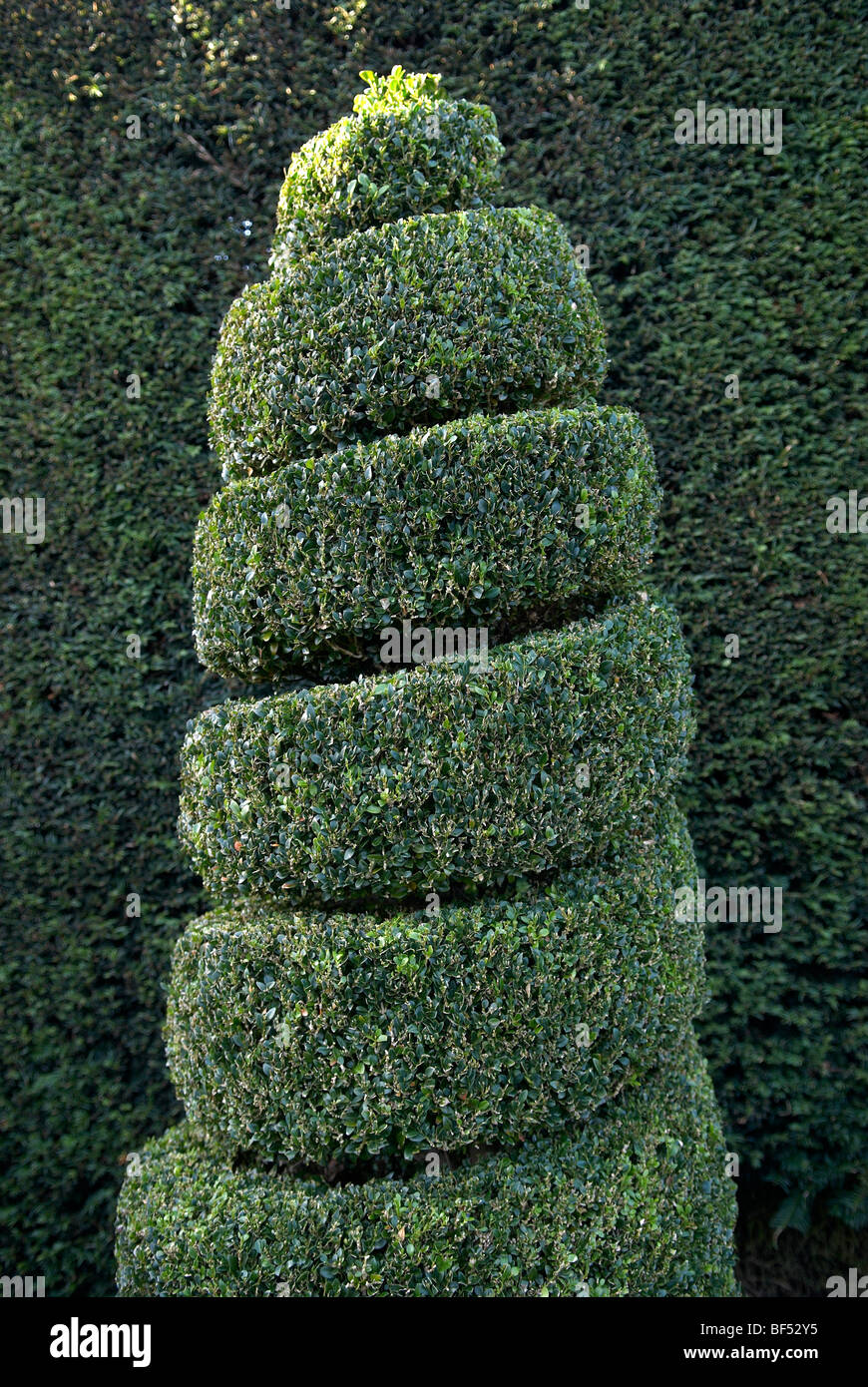 Clipped garden hedge hi-res stock photography and images - Alamy