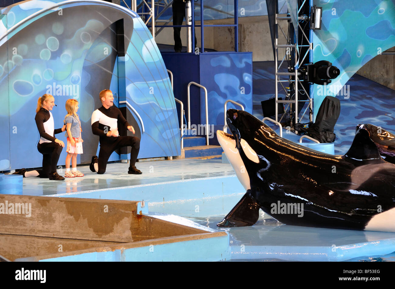 Killer whale show at SeaWorld, San Antonio, Texas - the largest ...
