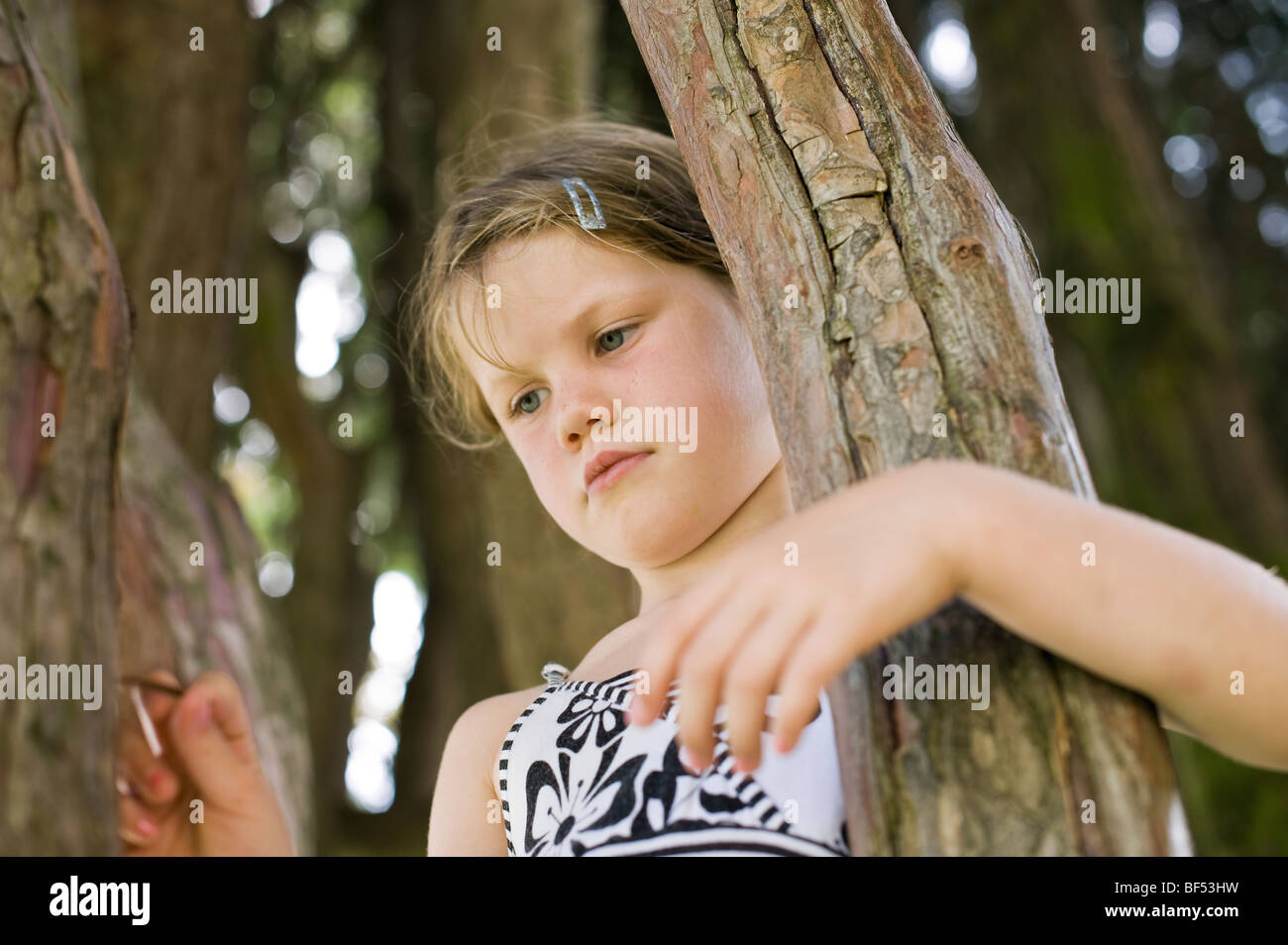 Girl In tree Stock Photo - Alamy