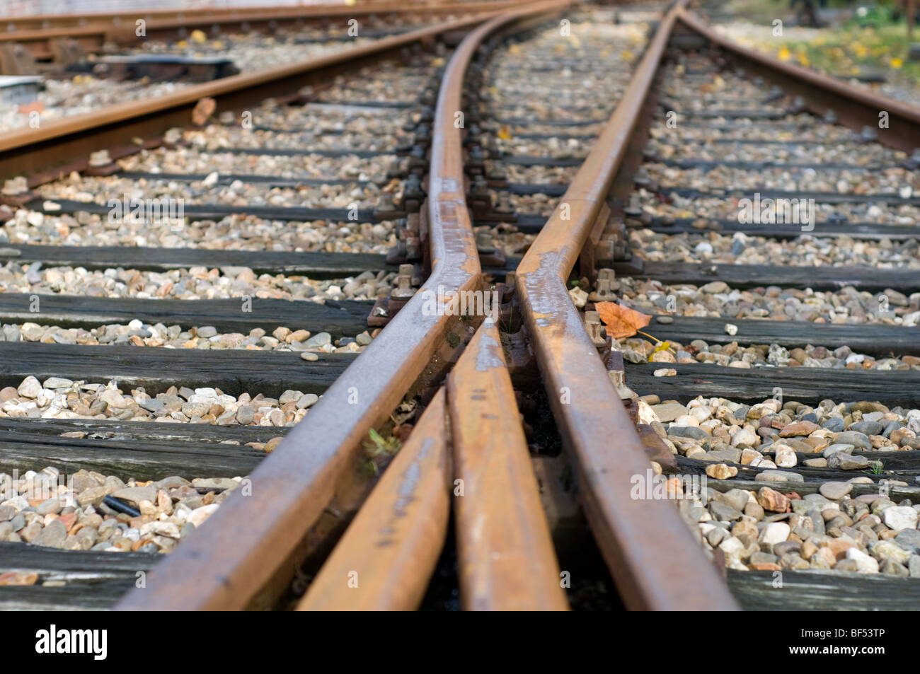 A railway line intersection Stock Photo - Alamy
