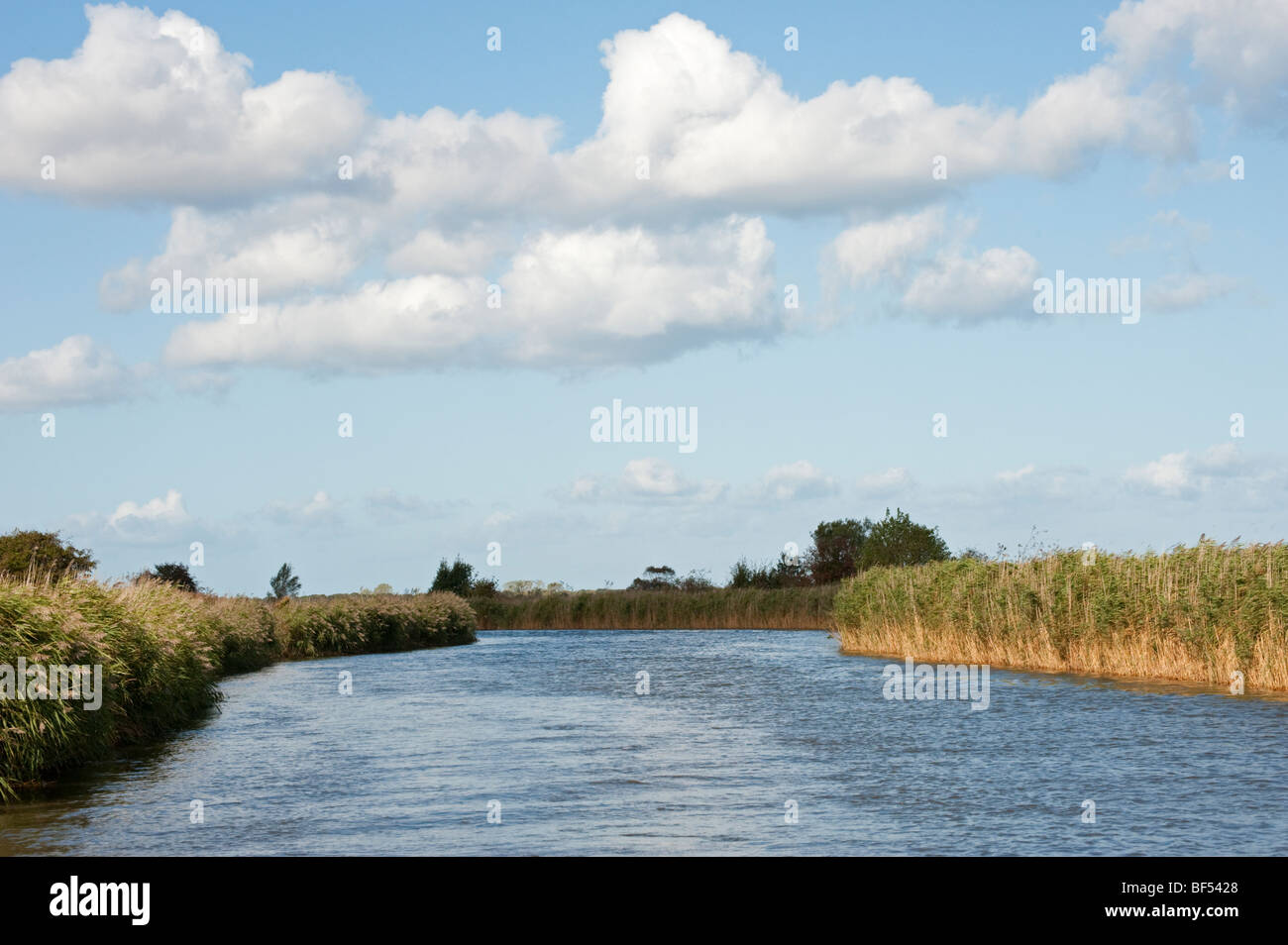 Hickling Broad,Norfolk UK Stock Photo - Alamy
