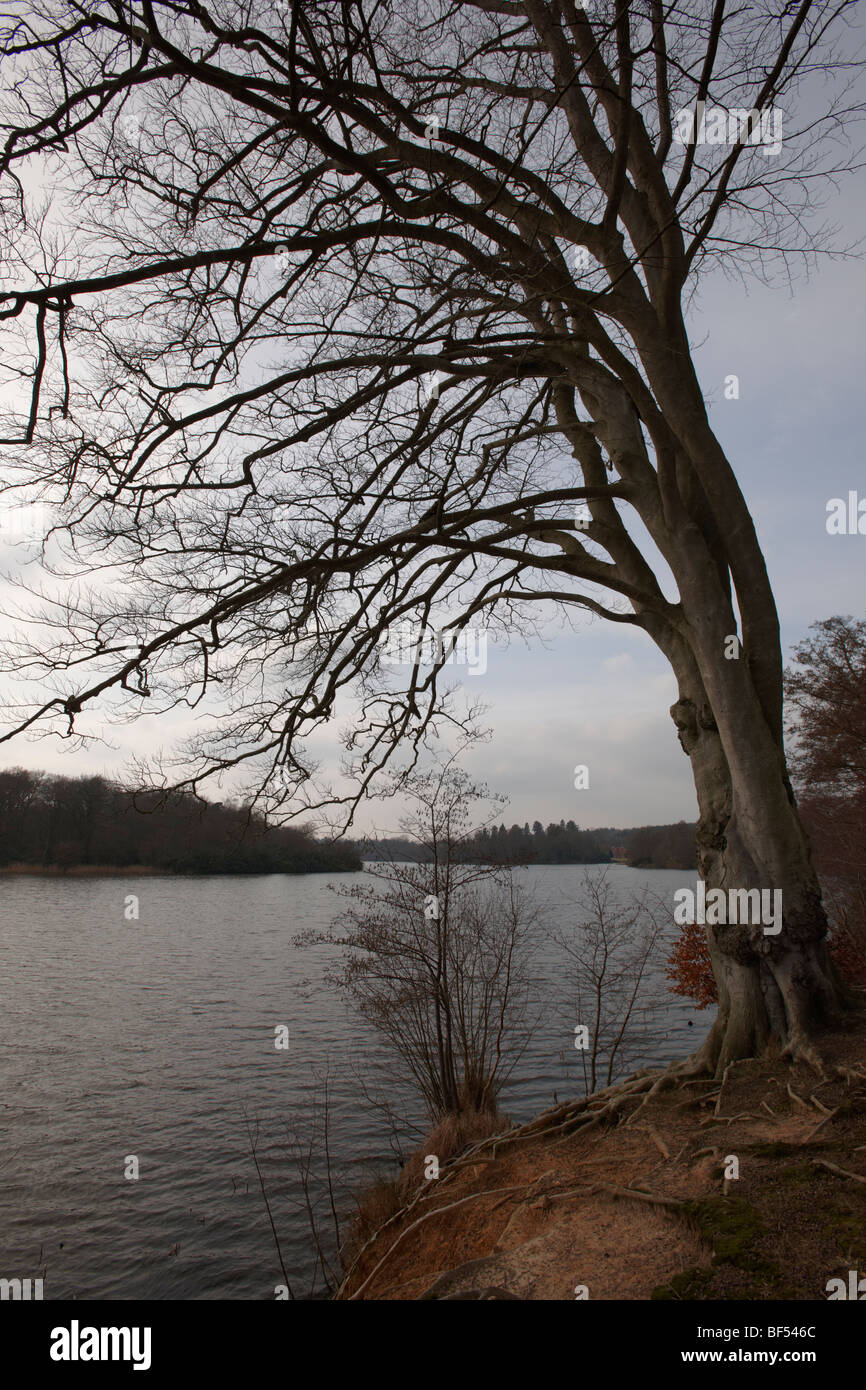 Virginia water berkshire hi-res stock photography and images - Alamy