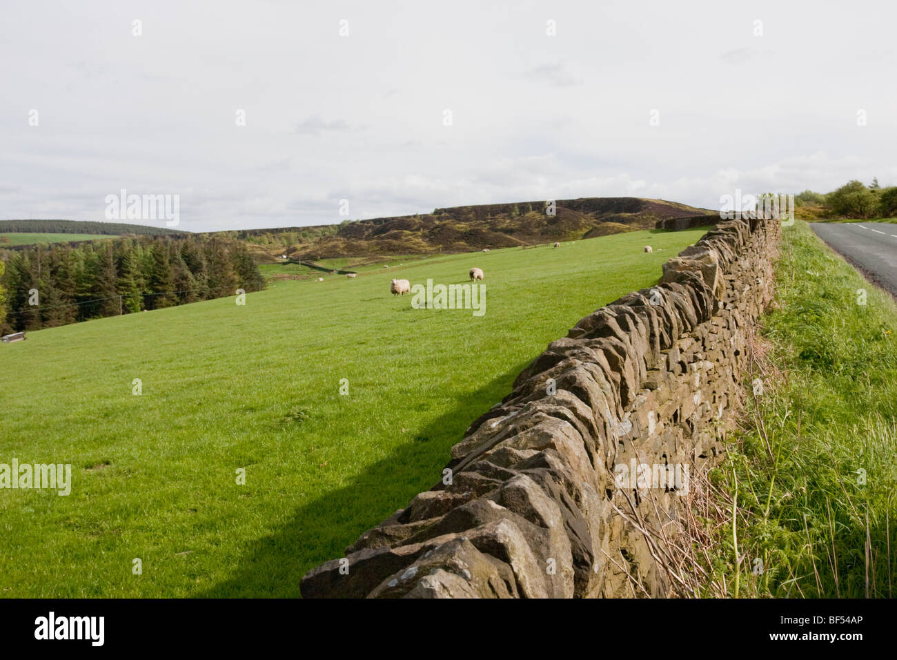 Peak district view Stock Photo - Alamy