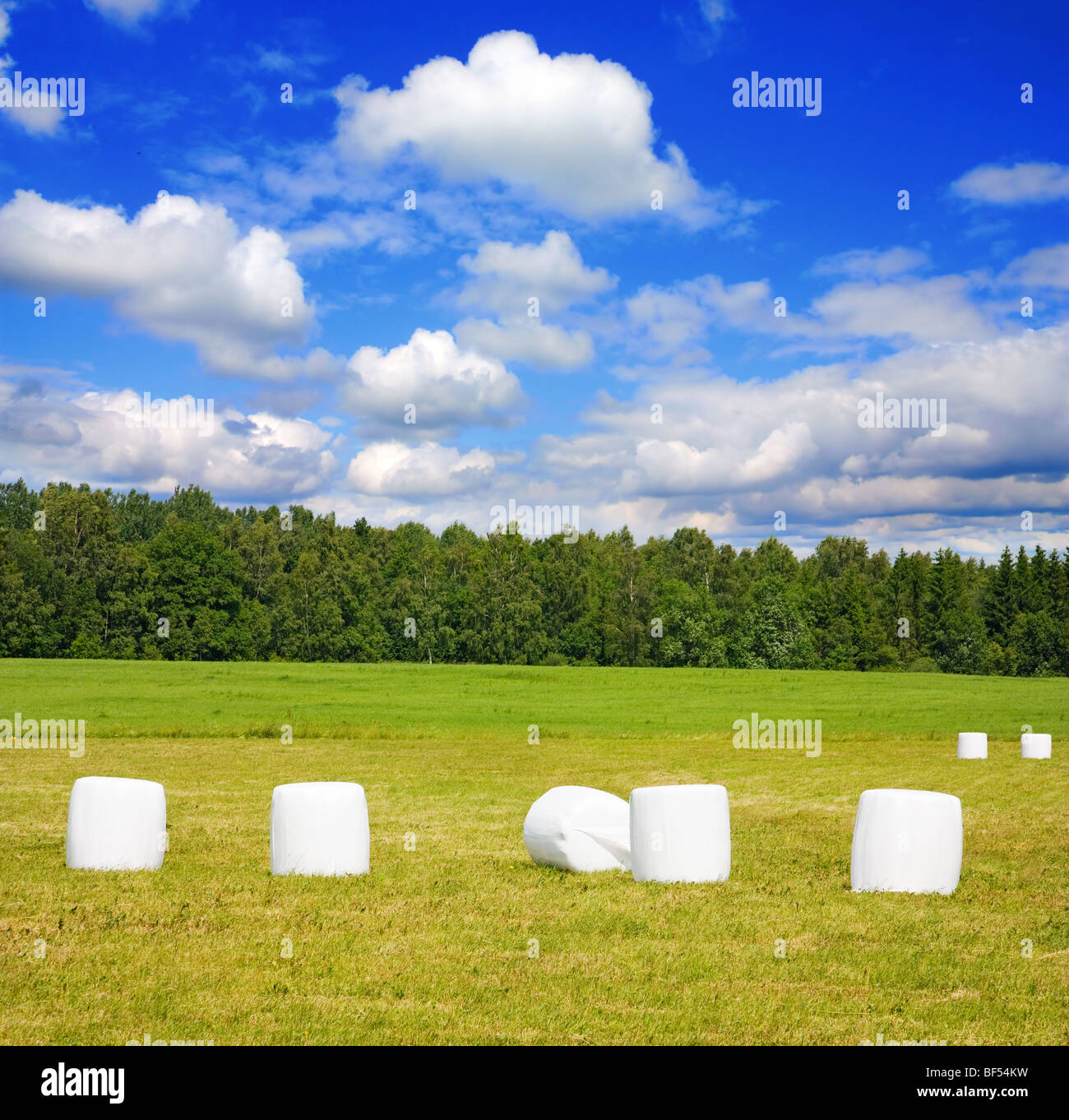 Bale hay in field Cut Out Stock Images & Pictures - Alamy