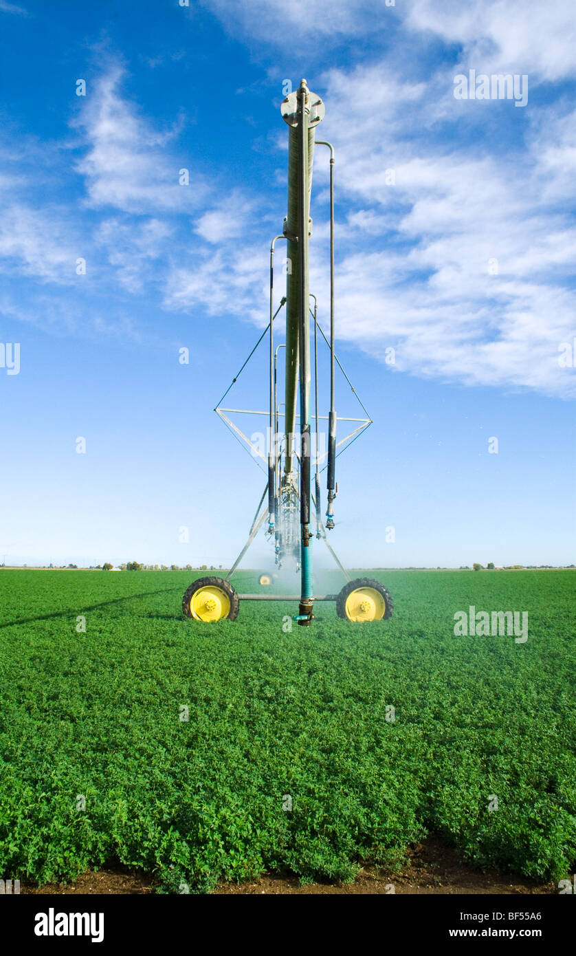 Linear irrigation hi-res stock photography and images - Alamy