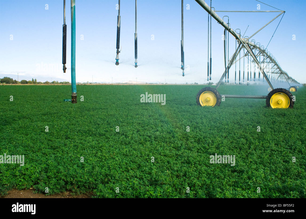 Linear irrigation hi-res stock photography and images - Alamy