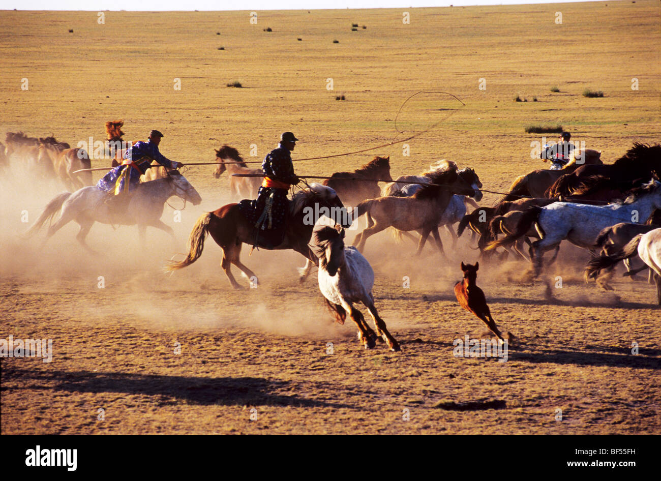 Mongolian horsemen herding horses, Xilin Gol Grassland, Inner Mongolia ...