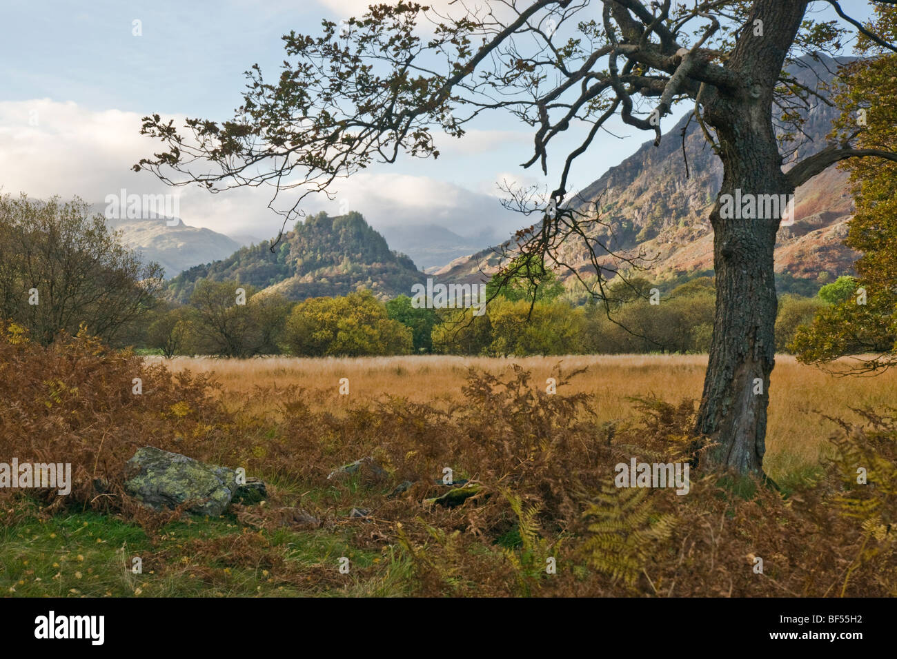 Castle Crag, Borrowdale, Cumbria Stock Photo - Alamy