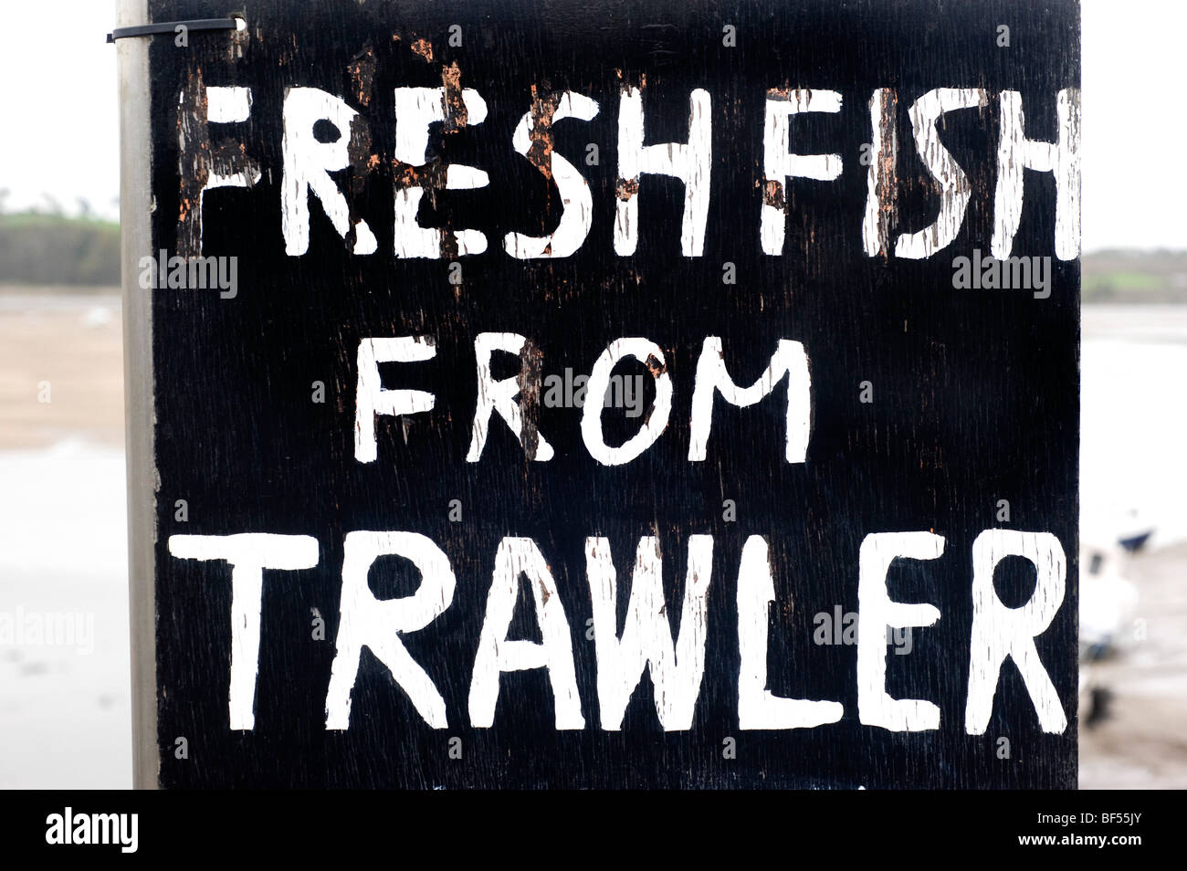 Dead fish sign hi-res stock photography and images - Alamy