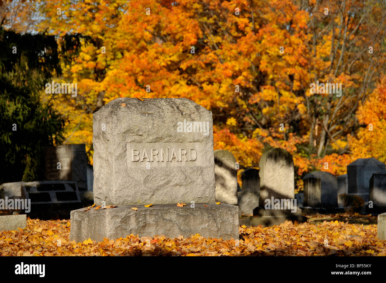 Autumnal scenes in cemetery Stock Photo - Alamy