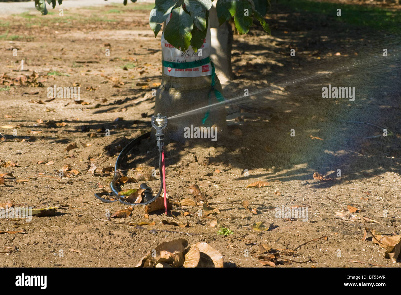 Microjet High Resolution Stock Photography and Images - Alamy