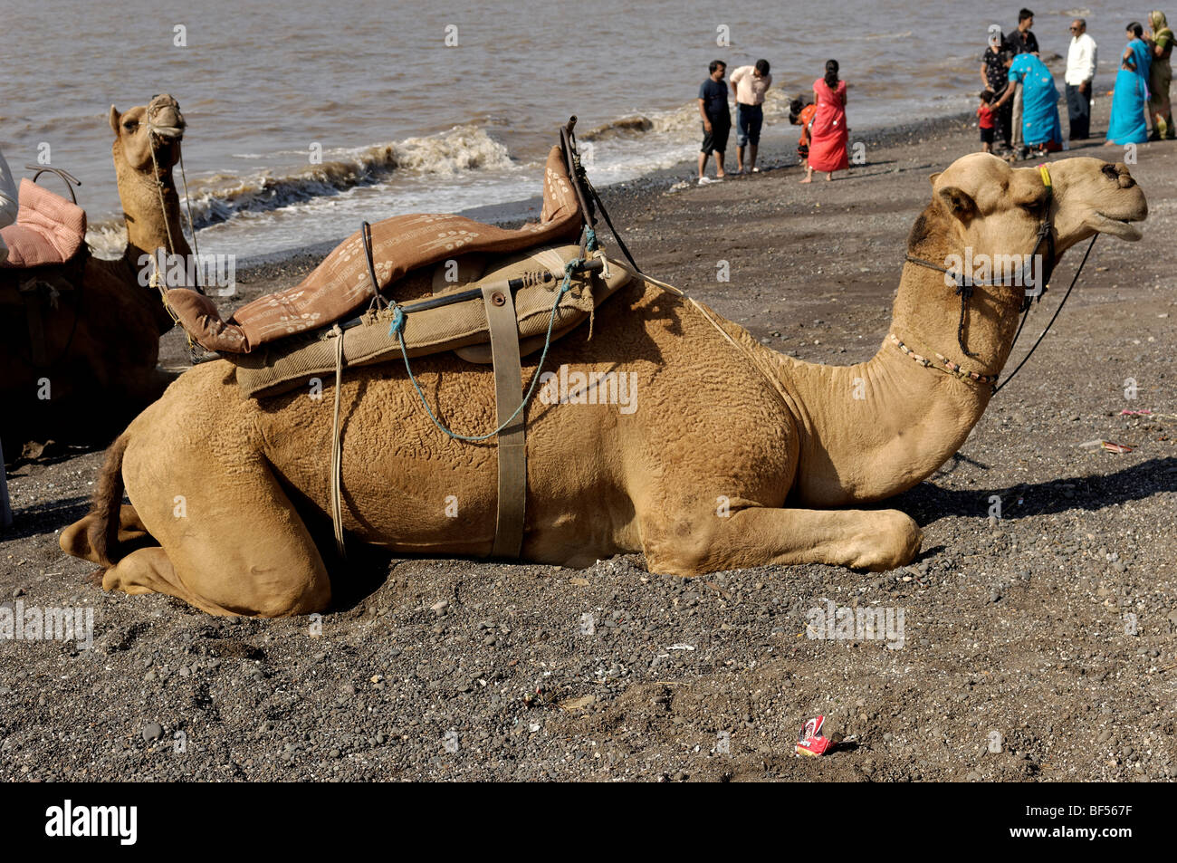 India State of Daman Stock Photo - Alamy