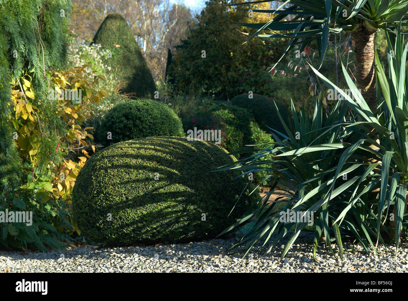 Clipped garden hedge hi-res stock photography and images - Alamy