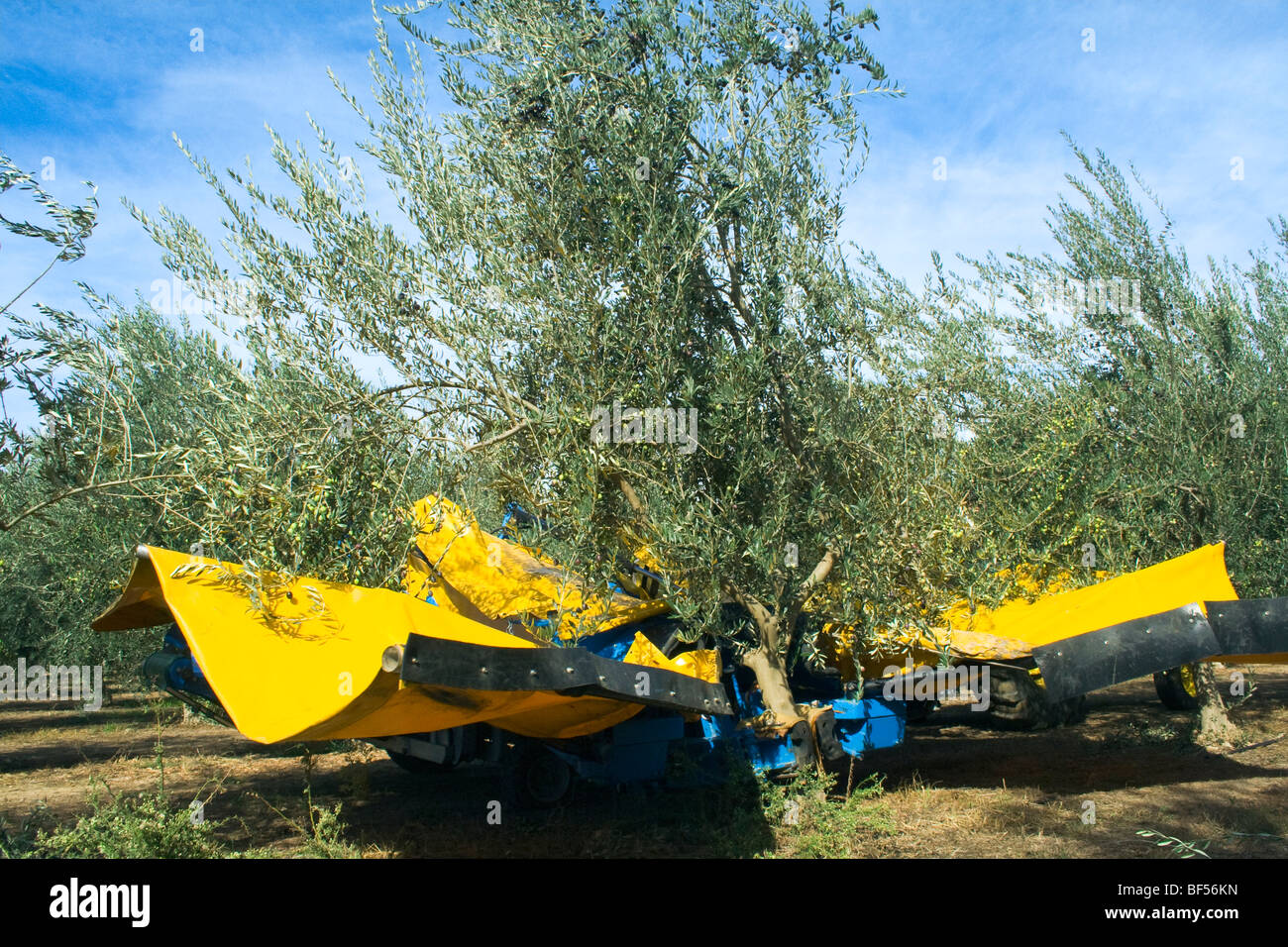 Wrap around hi-res stock photography and images - Alamy