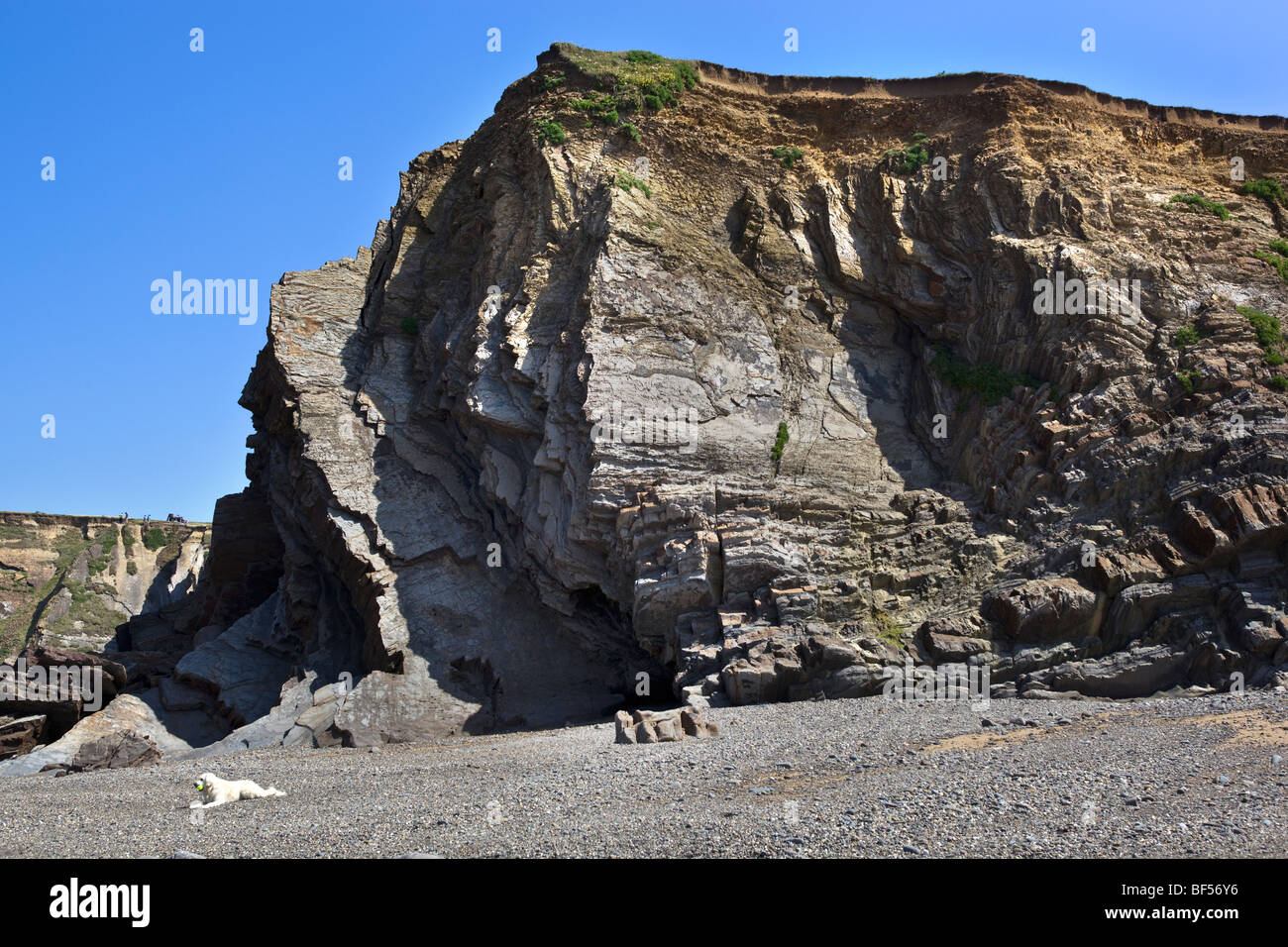 Rock face and Beach Bude Cornwall UK Stock Photo - Alamy