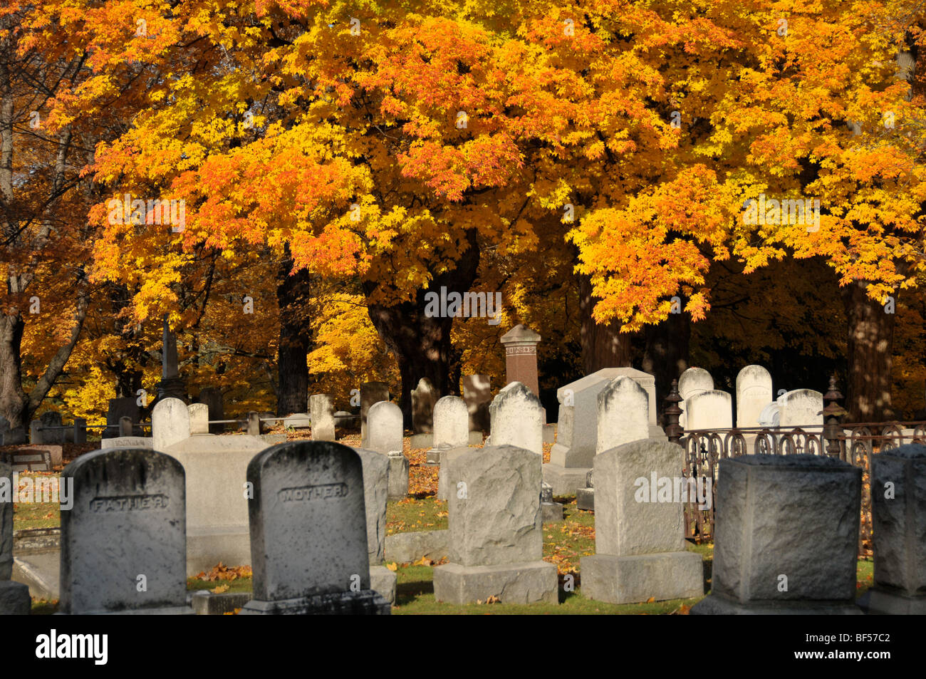 Autumnal scenes in cemetery Stock Photo - Alamy