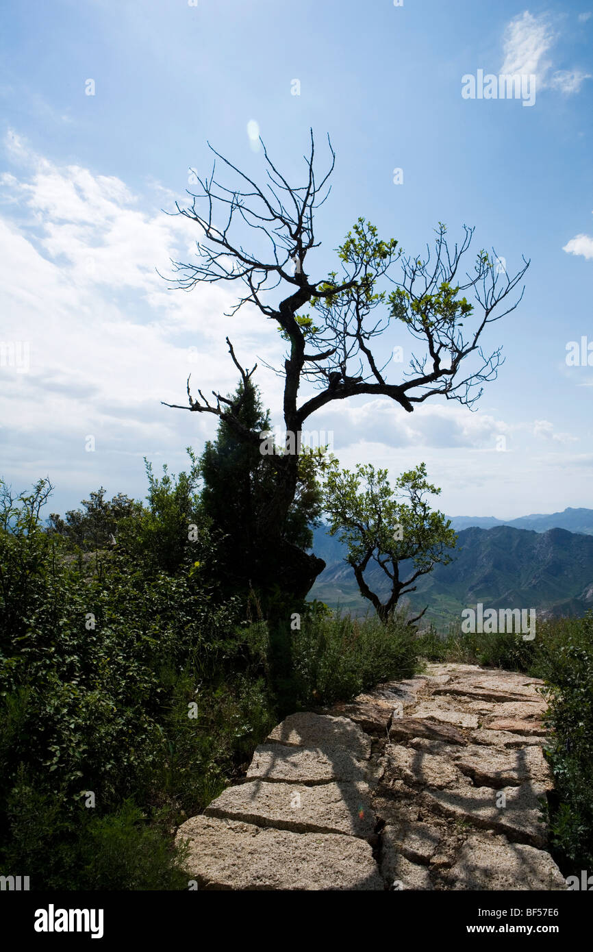 Hexigten global geopark hi-res stock photography and images - Alamy
