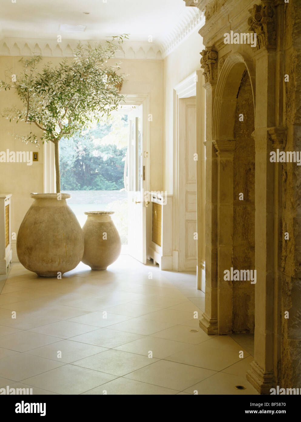 Large terracotta Ali-Baba pots and tall green houseplant beside front ...