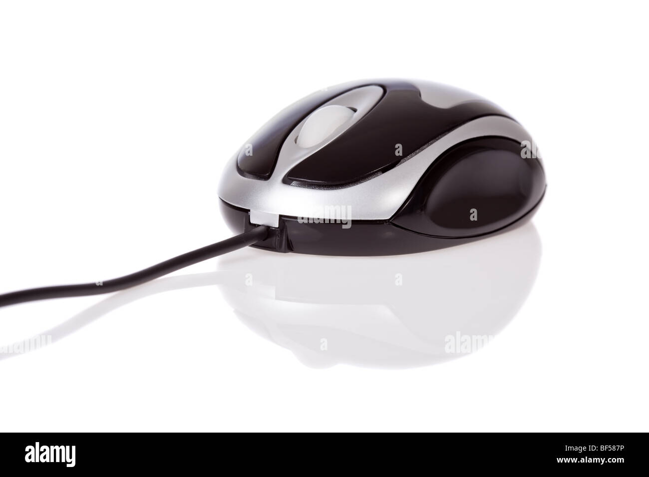 Mouse front view hi-res stock photography and images - Alamy