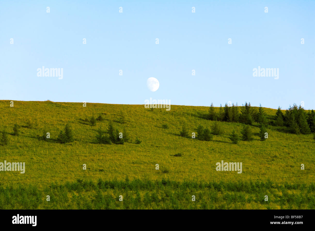 Moonrise over hill, Arxan National Forest Park, Arxan City, Hinggan ...