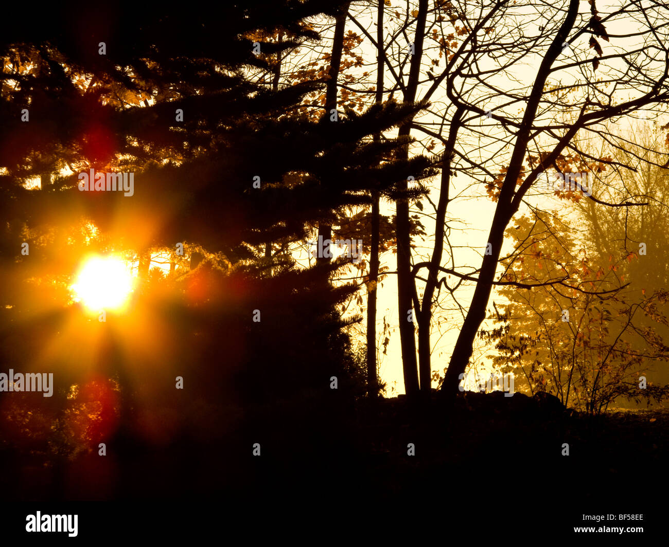 Cool fall sunrise hi-res stock photography and images - Alamy
