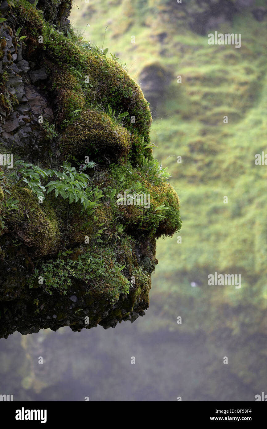 Shaped face hi-res stock photography and images - Alamy