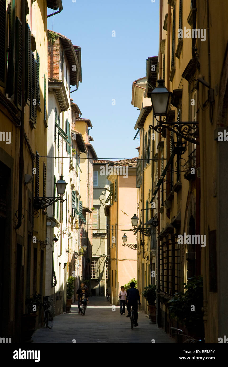 Shady residential street in hi-res stock photography and images - Alamy