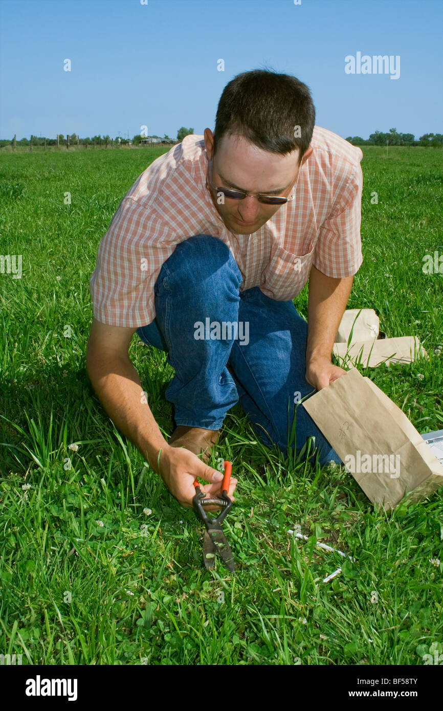Check researcher hi-res stock photography and images - Alamy