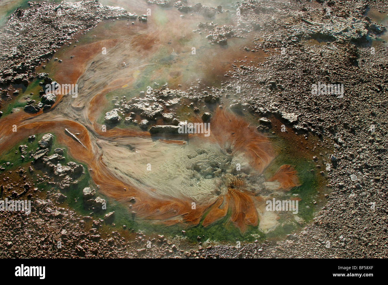 Swirling colors caused by bacteria in hot spring, Yellowstone NP Stock ...