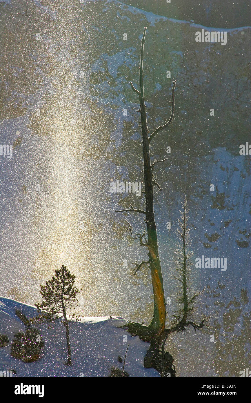 Sun pillar (glowing column caused by sun reflecting off steam & spray ...