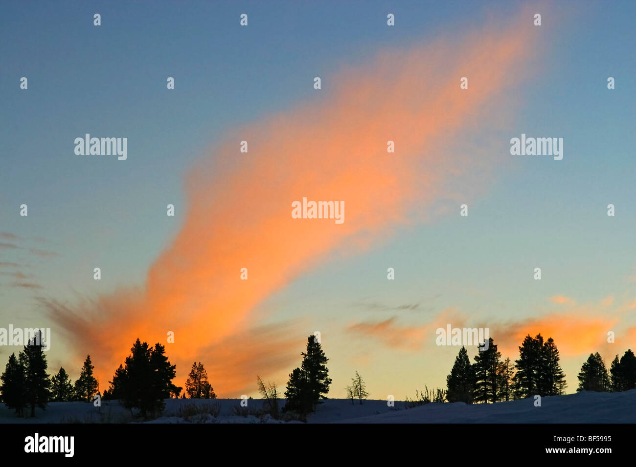 Winter sunset in Yellowstone NP Stock Photo - Alamy