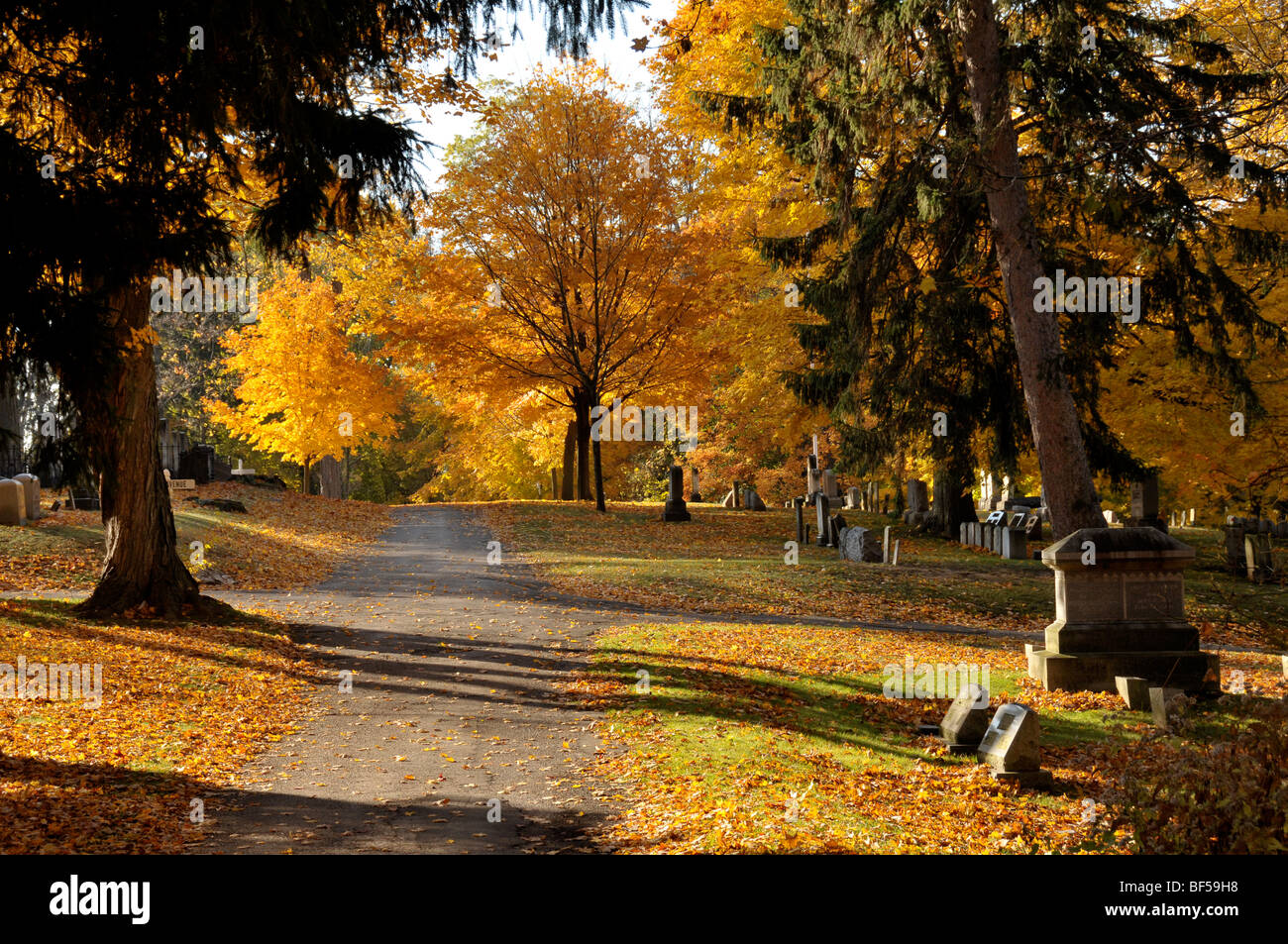 Serene memorial scenes hi-res stock photography and images - Alamy