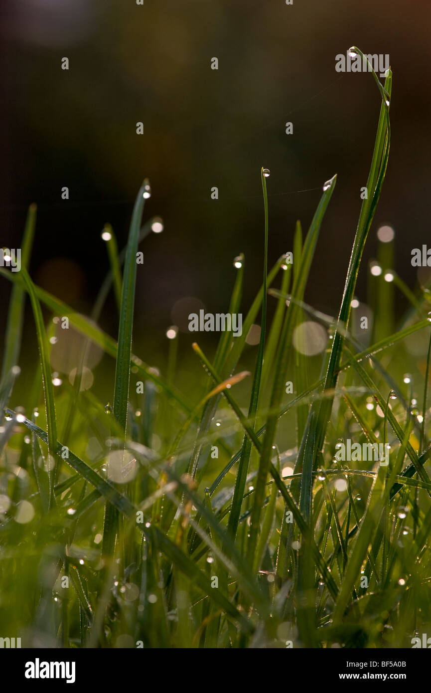 Wetness damp weather forecast spring summer fall autumn winter hi-res ...