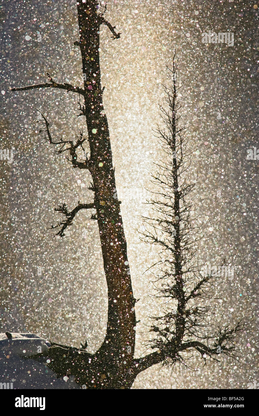 Sun pillar (glowing column caused by sun reflecting off steam & spray ...