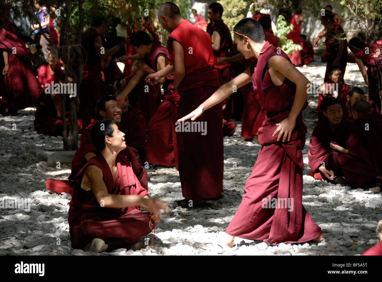 Debating monks wearing red robes, Sera Monastery, Gelug School, Gelugpa ...