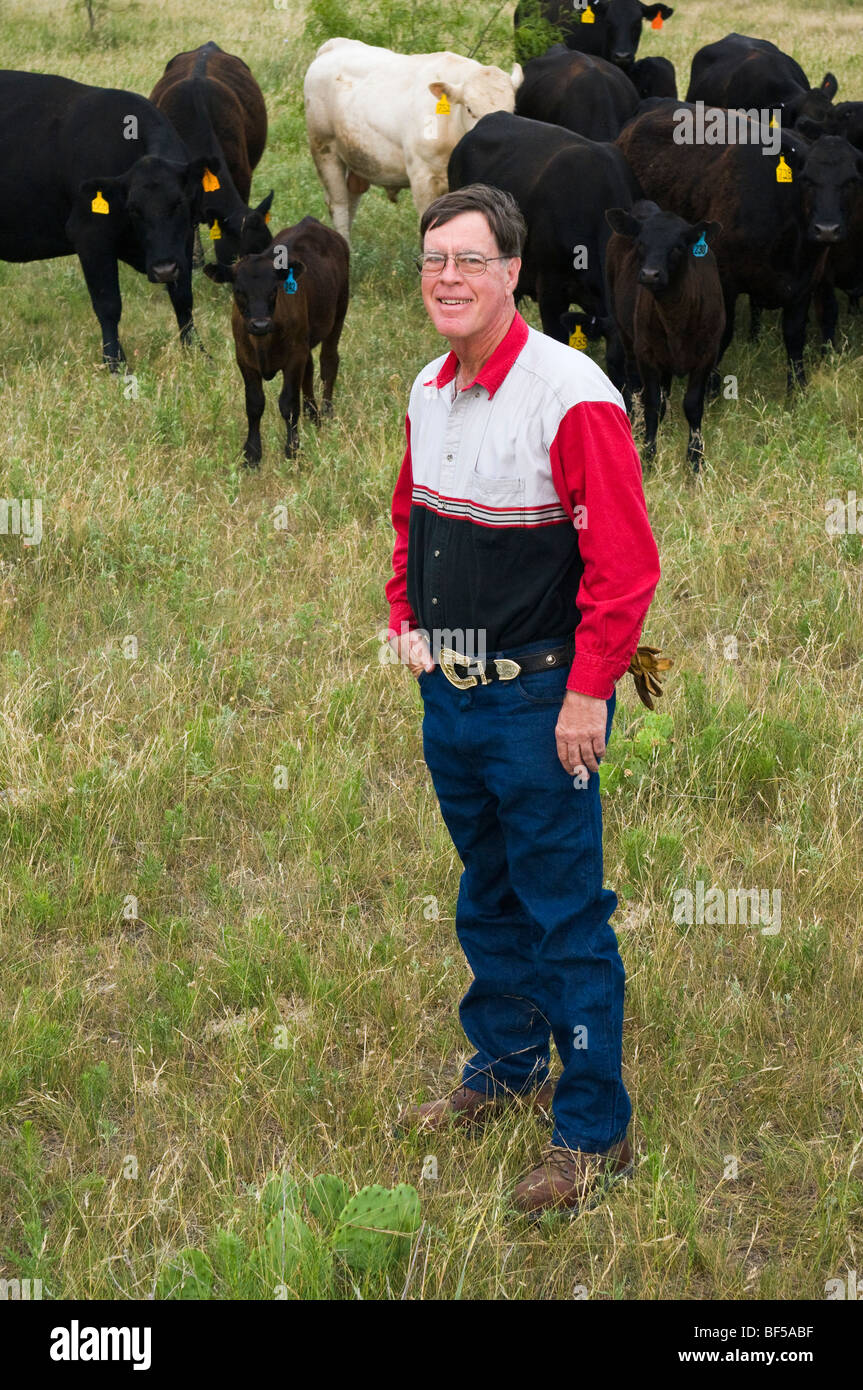 Texas beef cattle hi-res stock photography and images - Alamy
