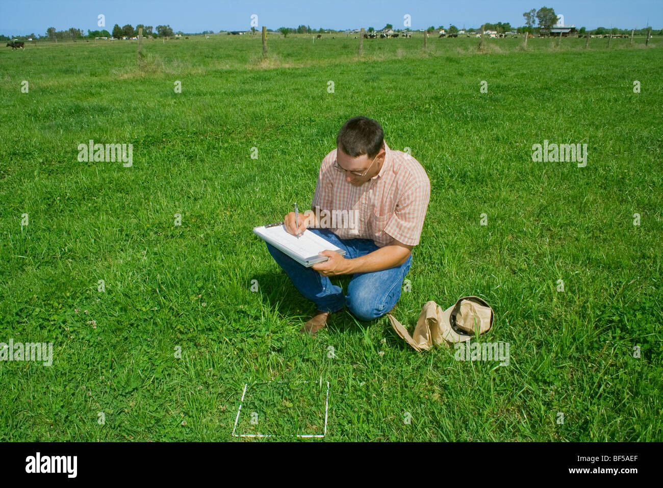 Check researcher hi-res stock photography and images - Alamy