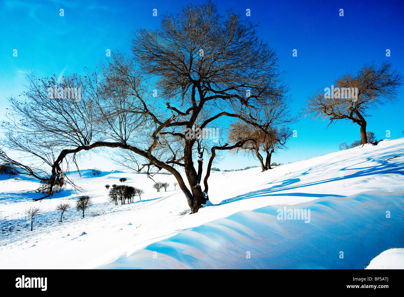 The yanqing snow hi-res stock photography and images - Alamy