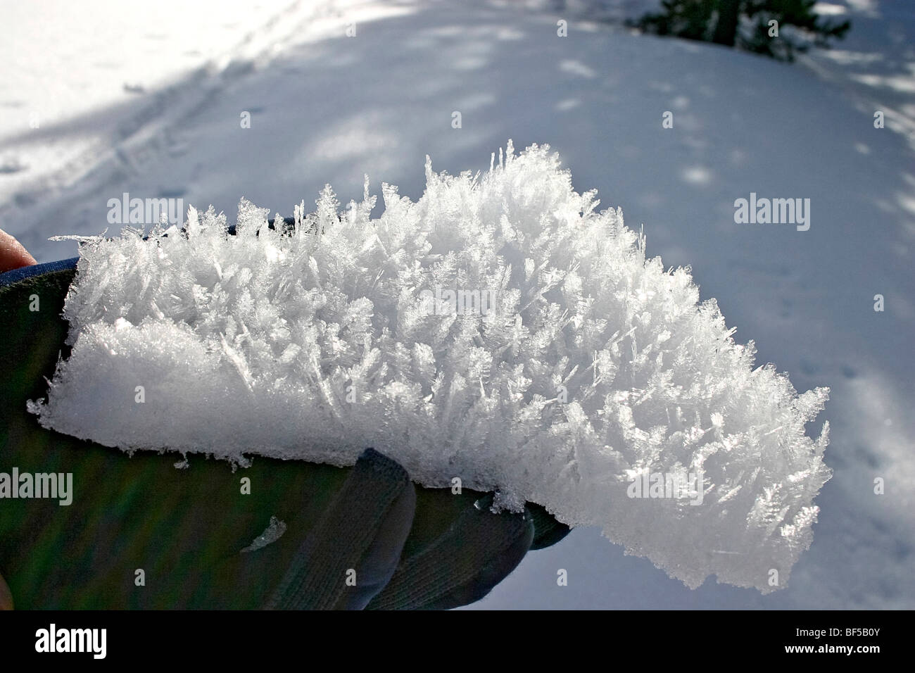 Slab of hoar frost showing frozen crystals Stock Photo - Alamy