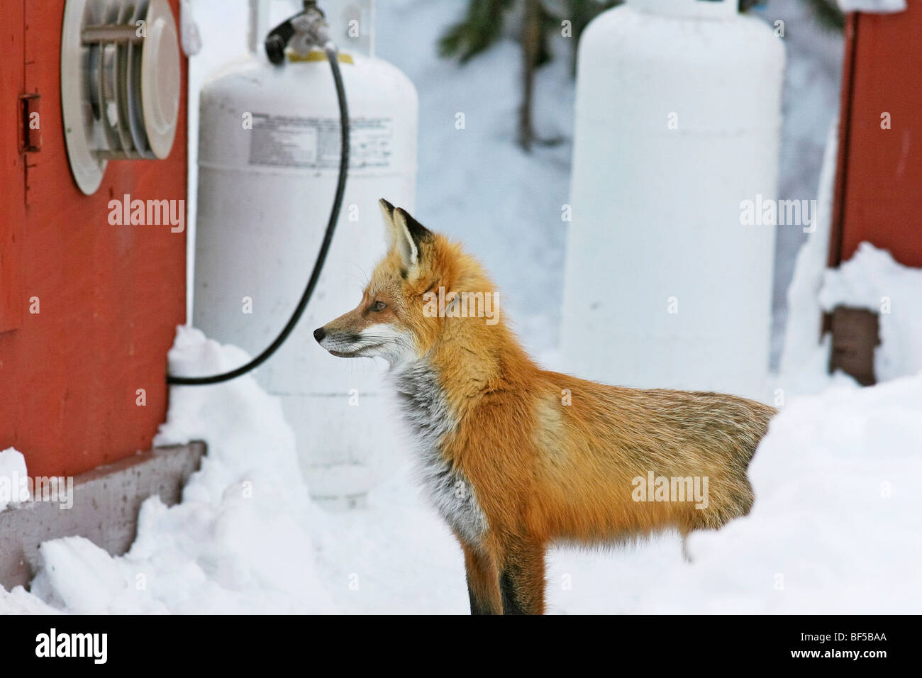 Camp tank hi-res stock photography and images - Alamy
