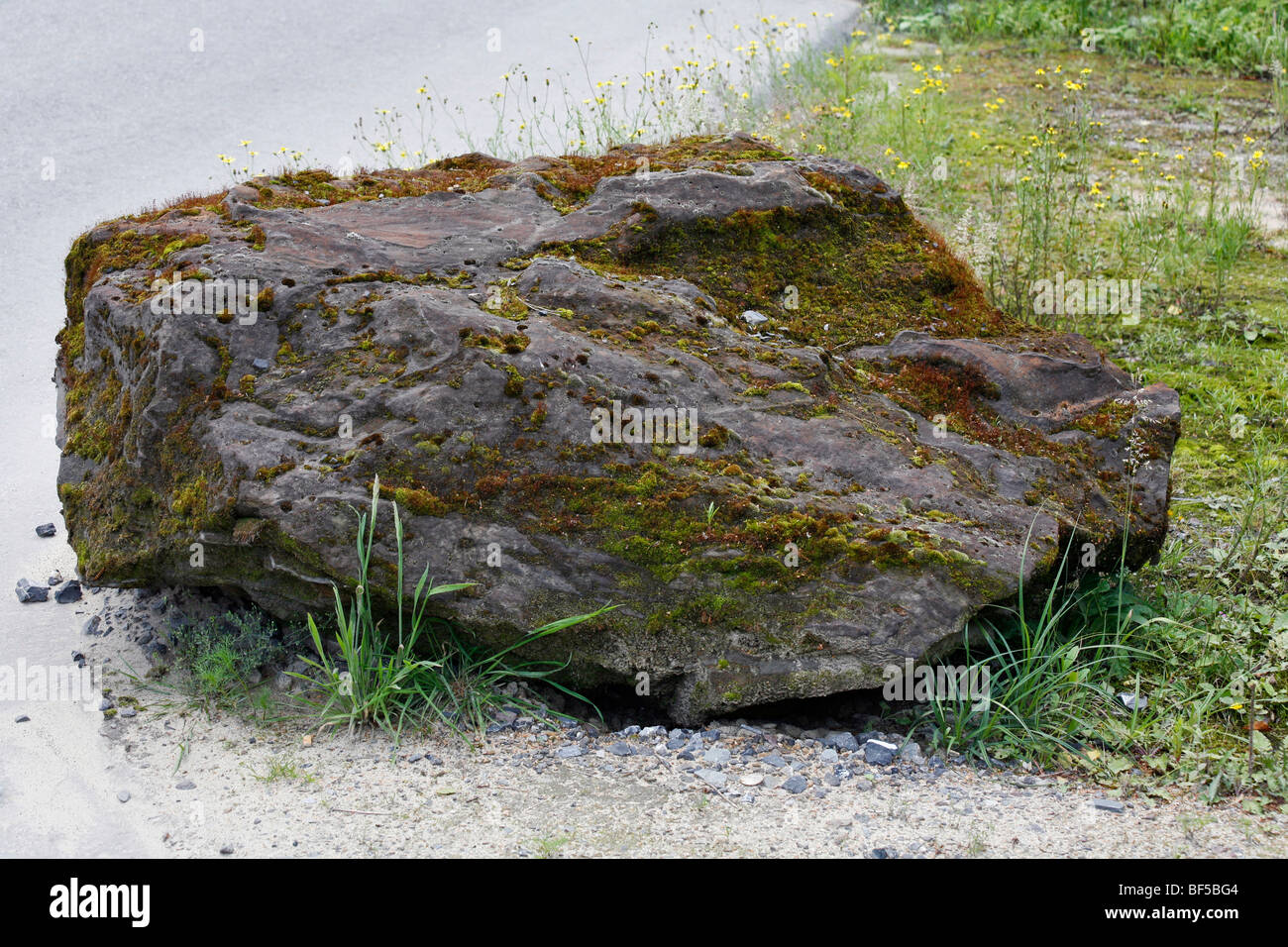 Erratischer hi-res stock photography and images - Alamy