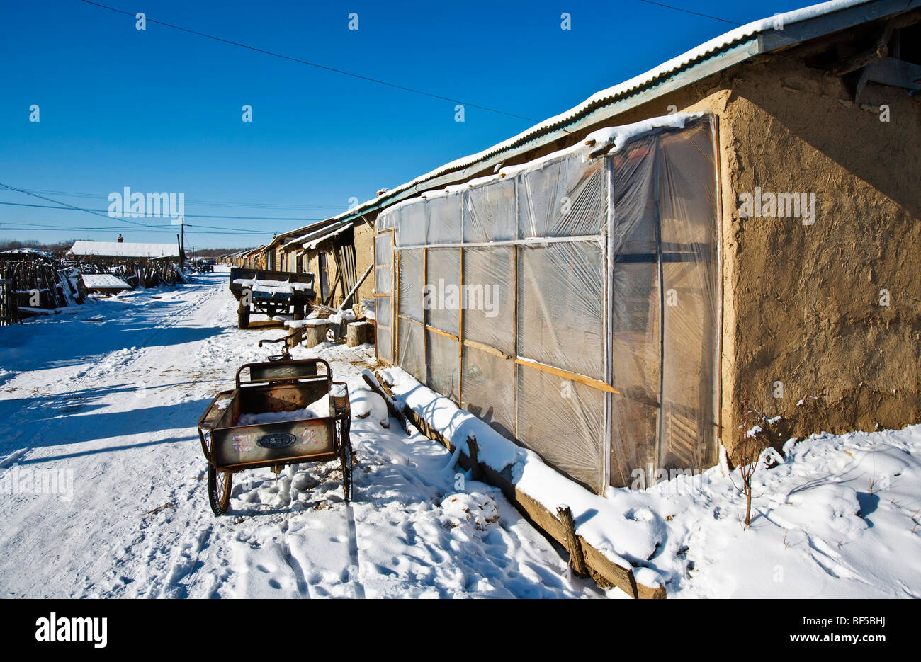 One story houses that serve as staff dormitory in a local forest farm ...