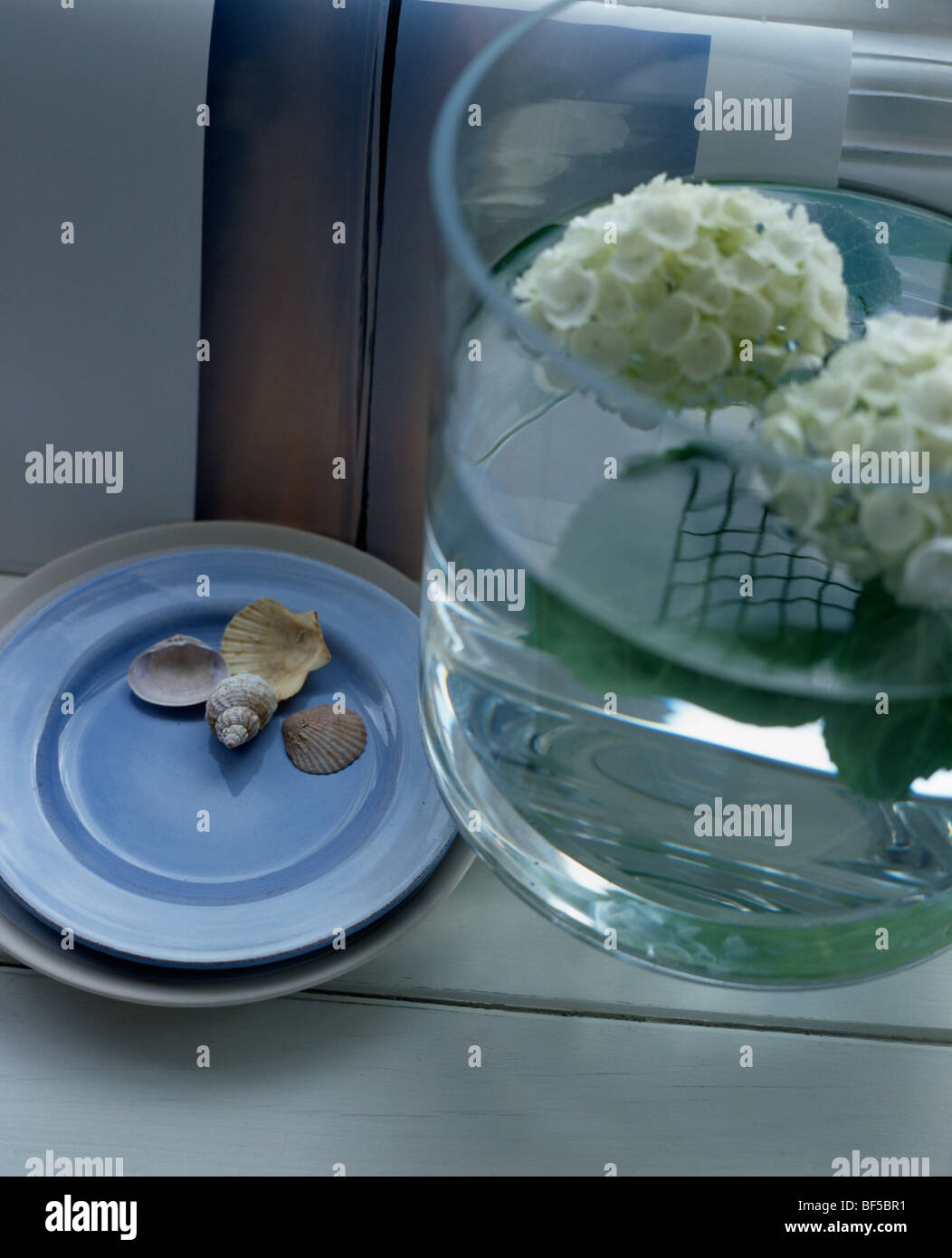 Close-up of blue plates beside glass vase with white floating ...