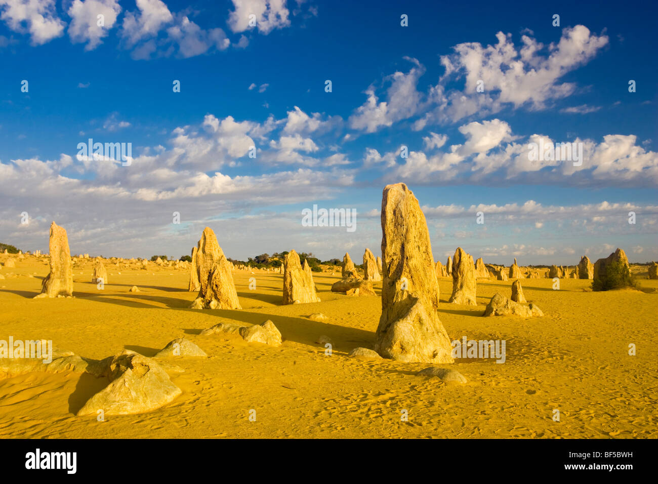 Limestone pillars in the Pinnacles Desert in the Nambung National Park ...