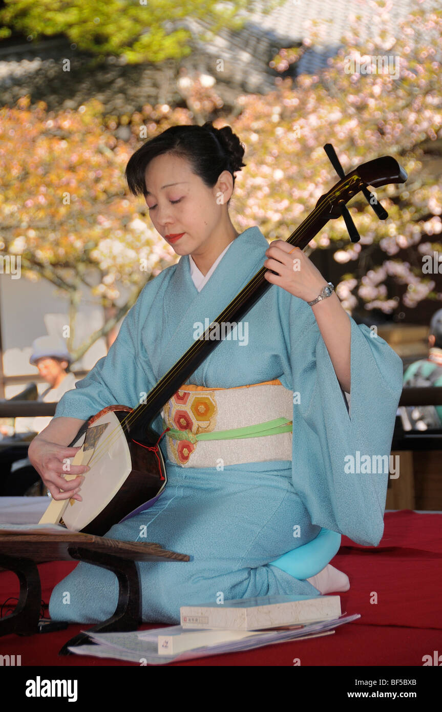Music instruments shamisen japanese musical hi-res stock photography ...